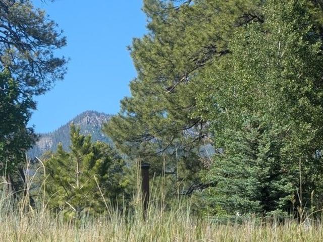 184 Clint Cir, Pagosa Springs, CO 81147