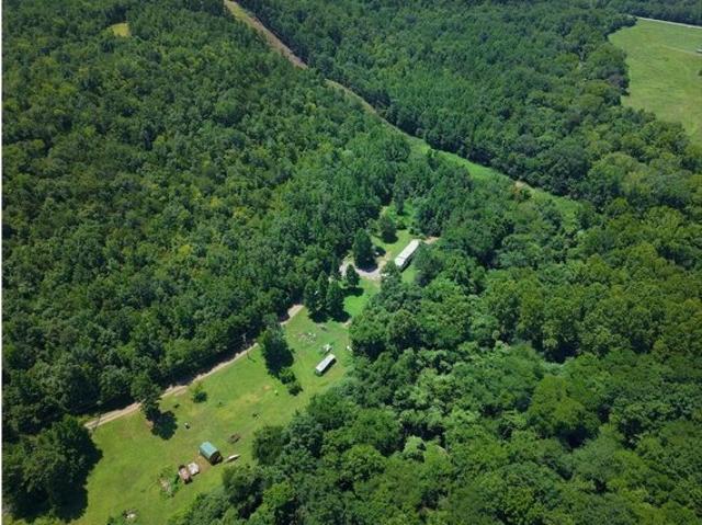 184 and 160 Peaceful Pl, Caddo Gap, AR 71935