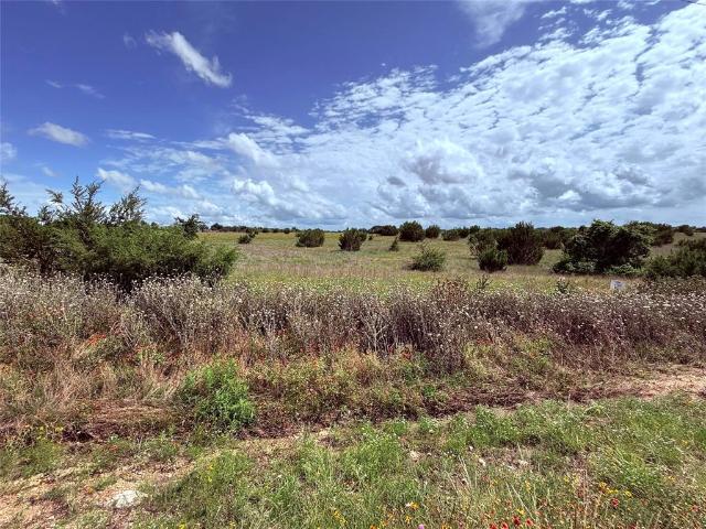 184 Gilmore Ct, Lipan, TX 76462 | MLS #20965