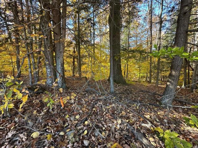 184 Dupre Dr, Guilford, VT 05301 | MLS #5020