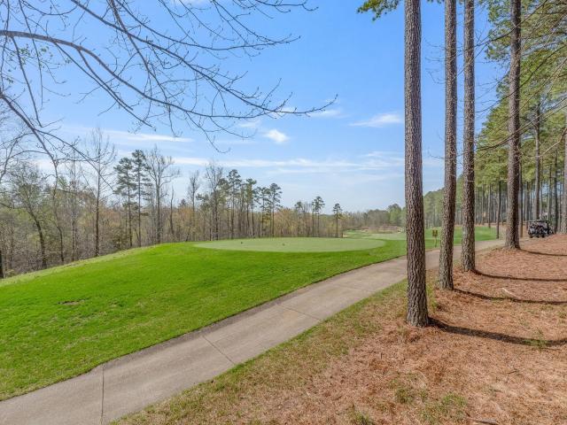 184 forest ct