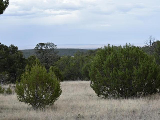 184 Sunlight Rd, Edgewood, NM 87015