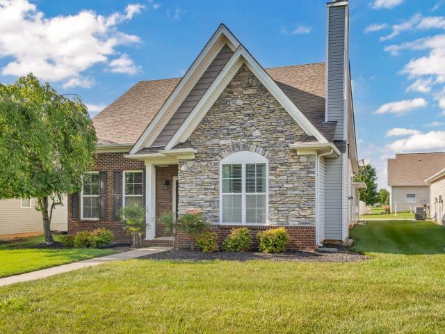 184 Whitman Aly