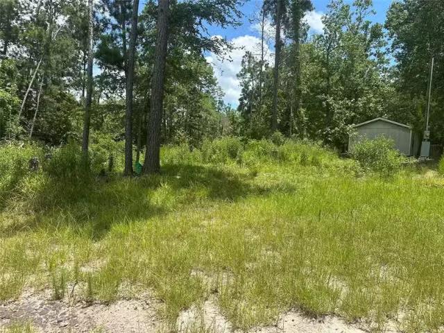 184 Willow Dr, Onalaska, TX 77360