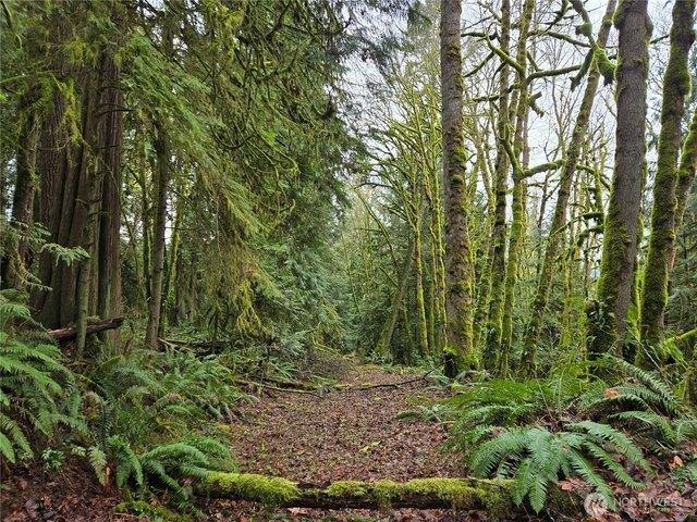 184 Xx 123rd Ave NE Lot 7, Arlington, WA 98223