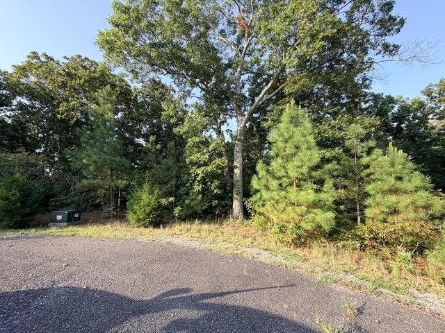 184 Yellowbird Ln, Murray, KY 42071