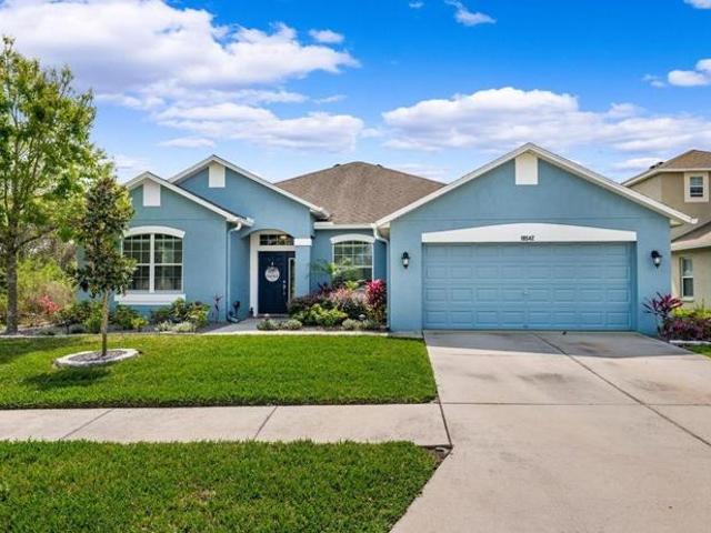 18542 New London Ave, Land O Lakes, FL 34638