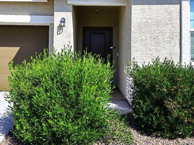 18556 w buckskin trail
