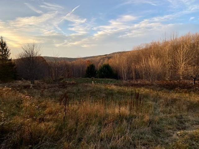 1855 Davis Hollow Road