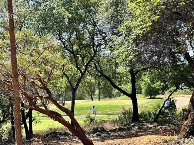 1855 E Summit View Dr, Meadow Vista, CA 95722 | MLS #225046