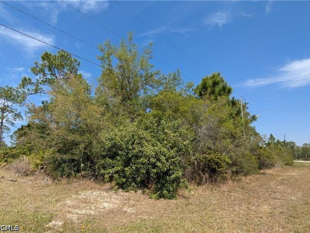 1855 Lindenwood Dr, Lehigh Acres, FL 33972 | MLS #2026015