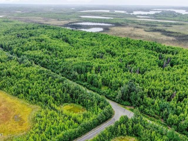 18590 W Lakes Blvd, Big Lake, AK 99623
