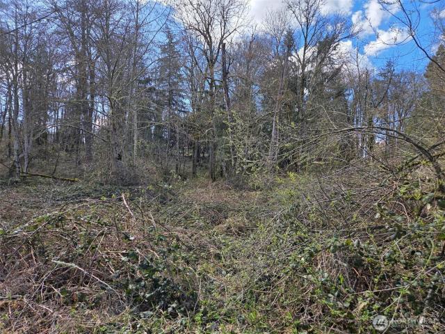 18599 SE 136th St, Renton, WA 98059 | MLS #2494 | Compass