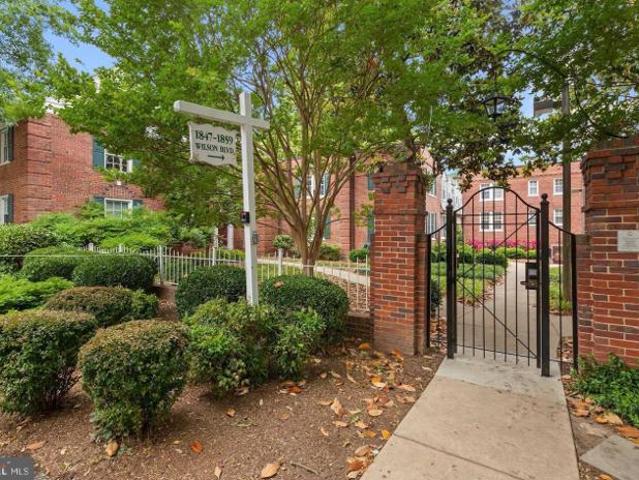 1859 Wilson Blvd #5 368, Arlington, VA 22201