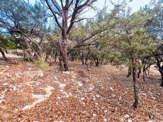 18505 Monet Pointe Dr, Jonestown, TX 78645 | MLS #5844