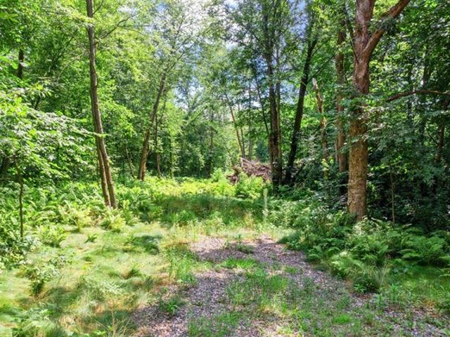 1850 Klondike Dr NE, Cedar, MN 55011