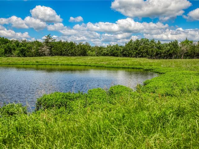 1850 Lcr 439, Mexia, TX 76667 | MLS #24015