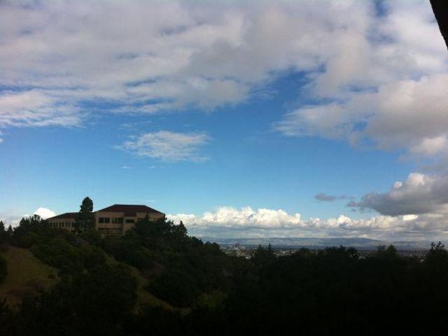 $1850 / 1br 740ft² Available in May~Huge Sunny 1BR in San Mateo Hills
