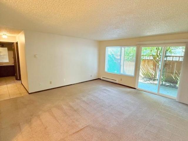 18524 TM JD GISZ LLC 1 Bedroom Apartment for Rent at 18524 Linden Ave N, Shoreline, WA 98133