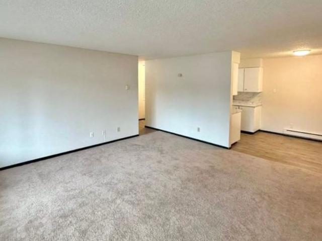 18524 TM JD GISZ LLC 2 Bedroom Apartment for Rent at 18524 Linden Ave N, Shoreline, WA 98133