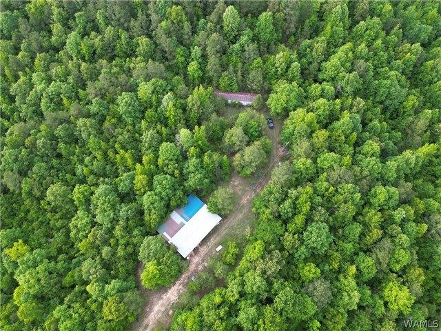 18526 Possum Ridge Rd, Kennedy, AL 35574