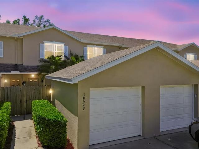 18529 Pebble Lake Ct, Tampa, FL 33647 | MLS #TB8499