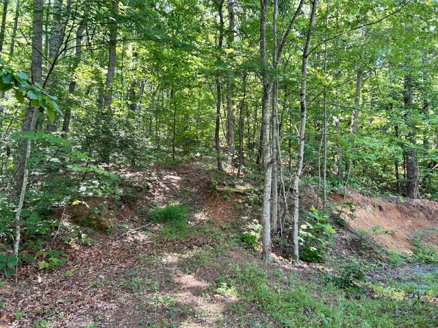 185 Co Rd 179