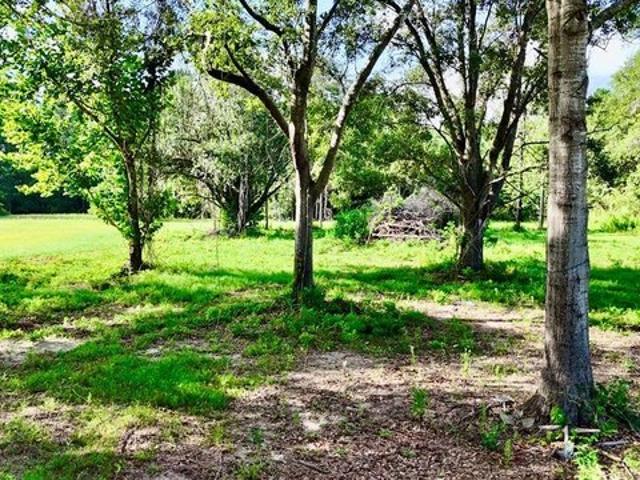 185 Cb Barnes Rd, Cottonwood, AL 36320