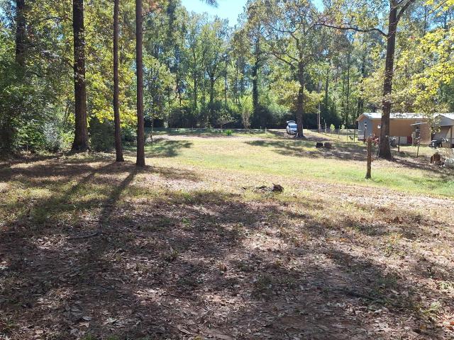 185 Amber St, Livingston, TX 77351 | MLS #33115