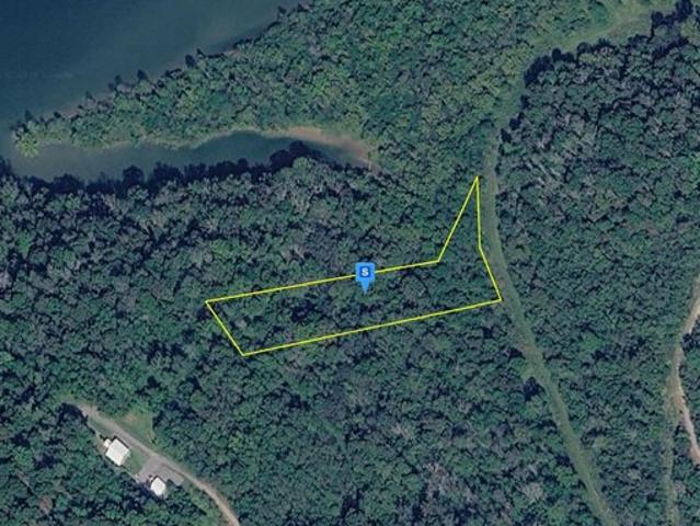 185 Hawks Bill Dr, Gainesboro, TN 38562