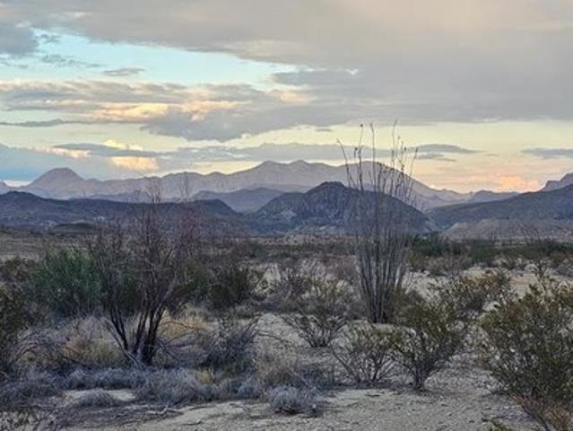185 Mathews Dr, Terlingua, TX 79852