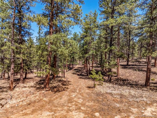 185 Sioux Trail