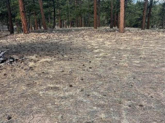 185 Sioux Trl, Westcliffe, CO 81252