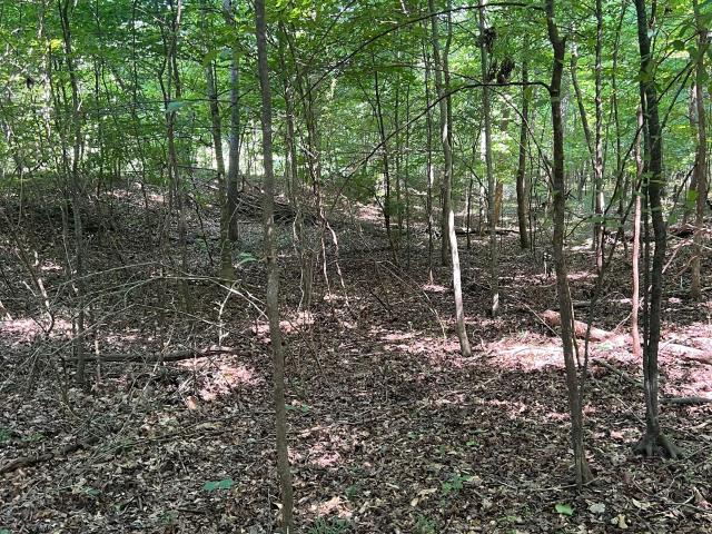185 River Shoals Court