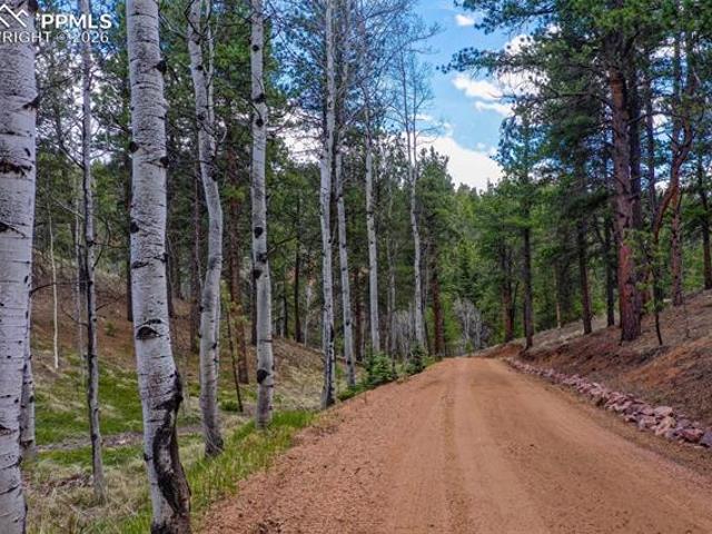 185 Wildcat Creek Drive