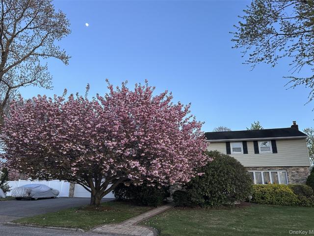 185 Tree Road