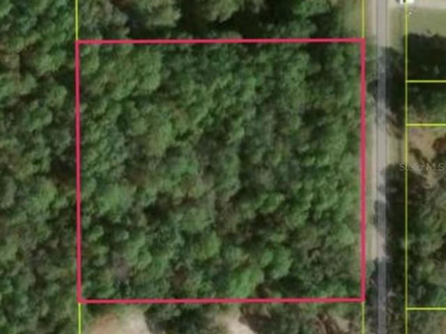 1864 S Colonial Ave, Homosassa, FL 34448