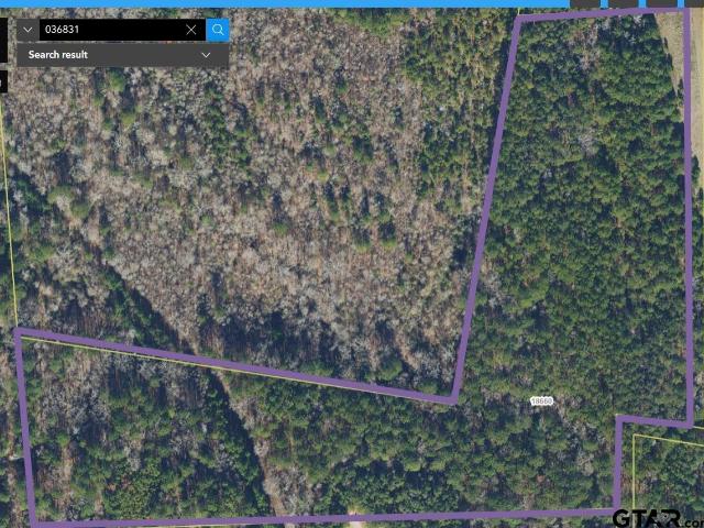 18660 Cr 259 Troup, TX 75789 | MLS #26005