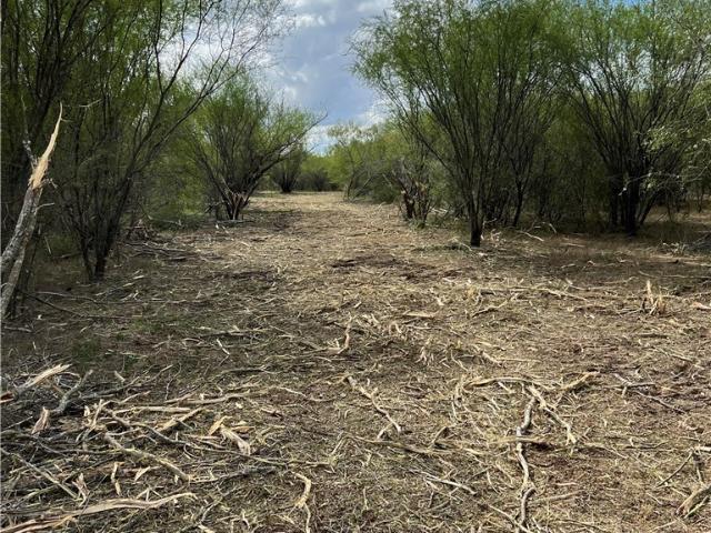 1867 Old Gonzales Road