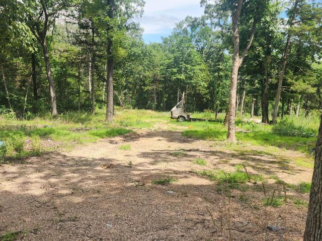 18632 Farm Road 2300