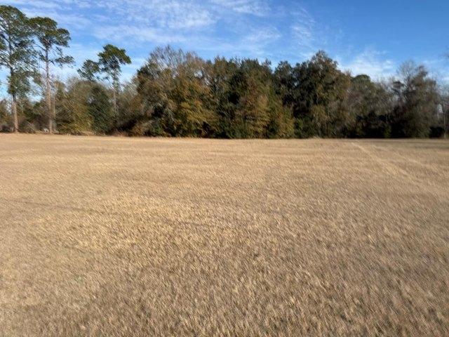 1863 Old Berlin Rd, Moultrie, GA 31788
