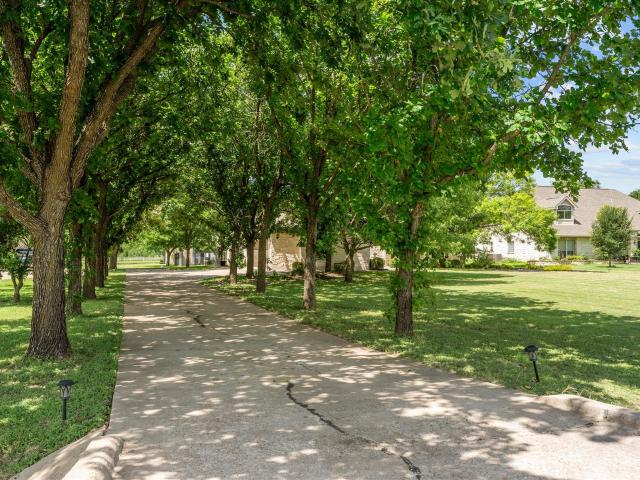 186 Brushy Creek Trl