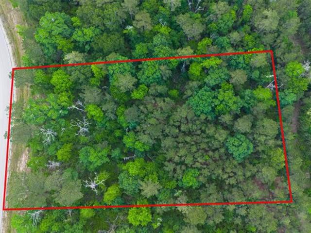 186 Exploration Rd, New Waverly, TX 77358
