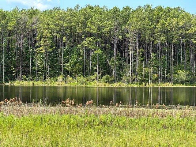 186 New Arbor Rd W, Poplarville, MS 39470