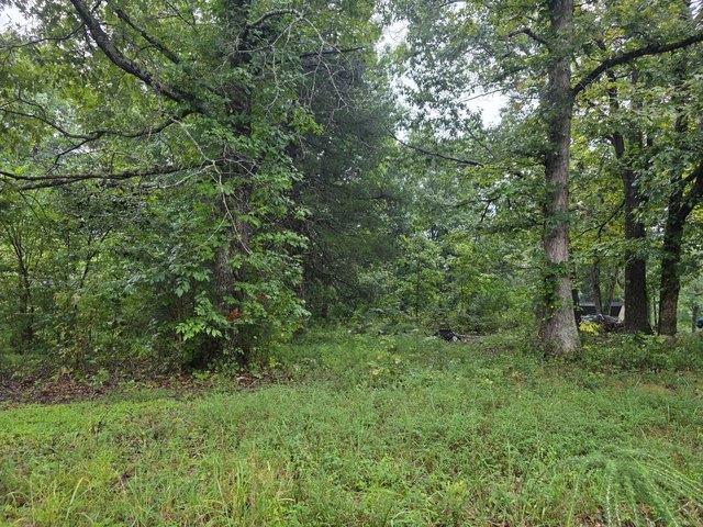 1875 Old Lock A Rd, Charlotte, TN 37036