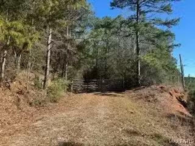 1875 COUNTY ROAD 239, ELBA, AL 36323 Vacant Land For Sale MLS.