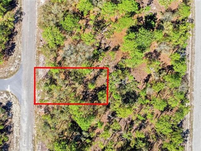 1877 W Pendleton St, Dunnellon, FL 34434