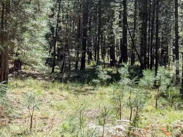 1878 Sheep Springs Rd #427, Forest Lakes, AZ 85931 MLS 6762965