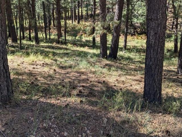 1878 Sheep Springs Rd Unit 427, Forest Lakes, AZ 85931