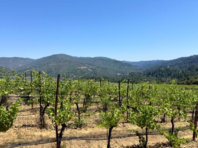 18700 Black Rd, Los Gatos, CA 95033 | MLS #ML82023